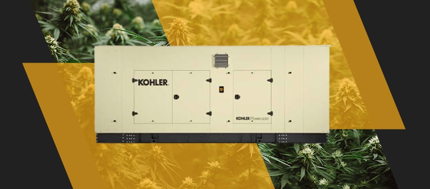 Can Your Cannabis Grow Op Be More Energy Efficient? - Woodstock Power
